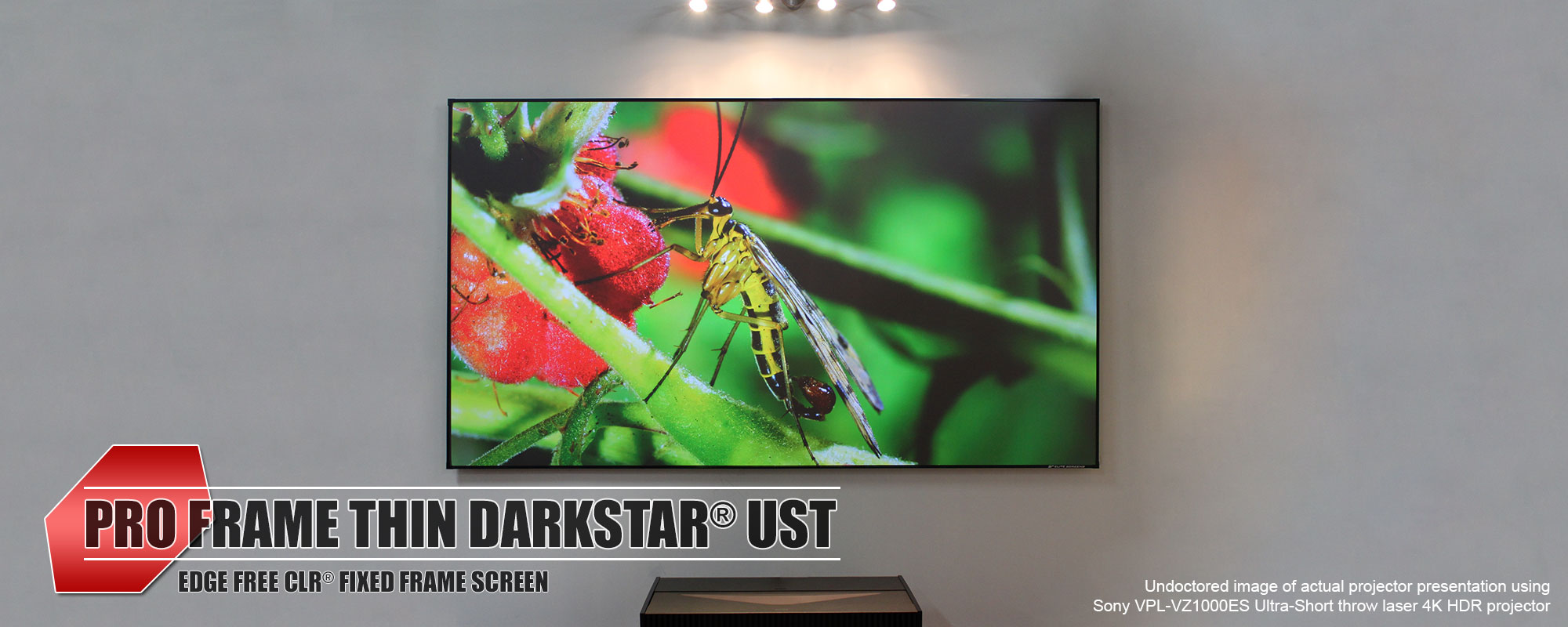 Homepage - EliteProAV - Providing an array of dedicated commercial grade projector screens to ...